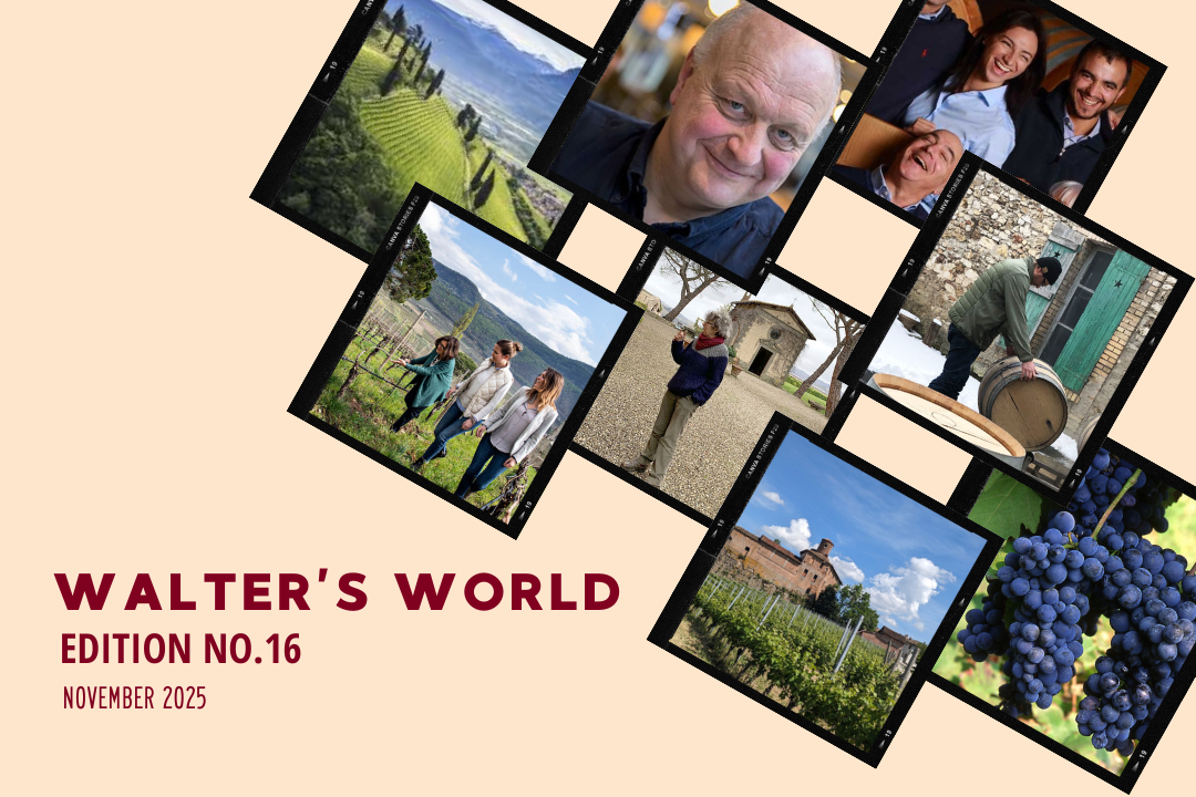 Walter's World, Edition No. 16 (November 2025) – Walter's Wine Shop