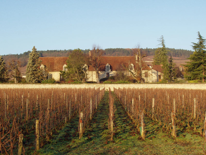 Domaine Dujac – Walter's Wine Shop