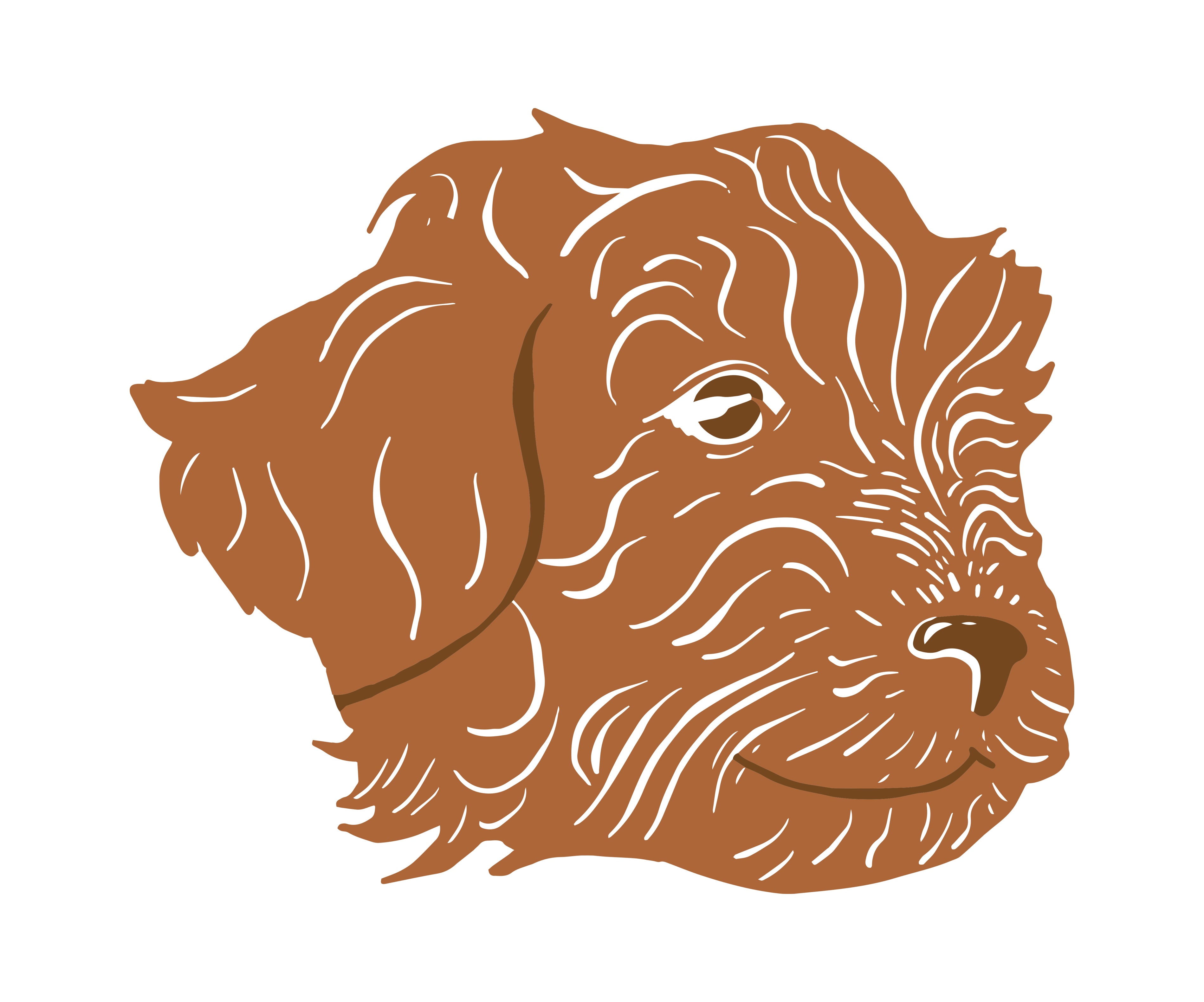 Walter's Swag – Walter's Wine Shop